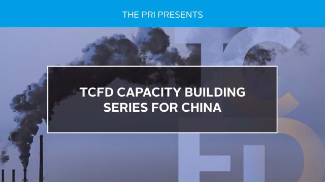 TCFD Capacity Building Series For China Transition Plans English tcfd-capacity-building-series-for-china-transition-plans-english