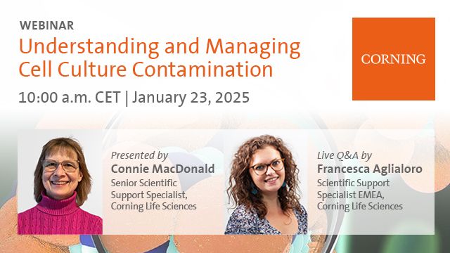 Understanding and Managing Cell Culture Contamination