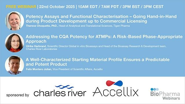 Potency Assays and Functional Characterisation