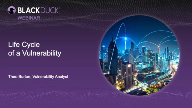 Life Cycle of a Vulnerability