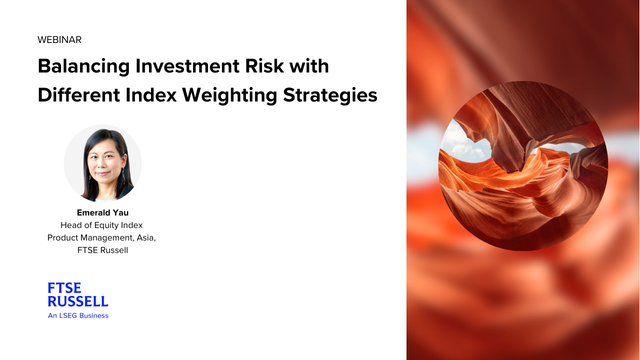 Balancing Investment Risk with Different Index Weighting Strategies