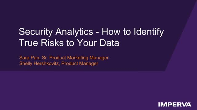 Security Analytics: How to Identify True Risks to Your Data