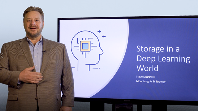 Storage in a Deep Learning World