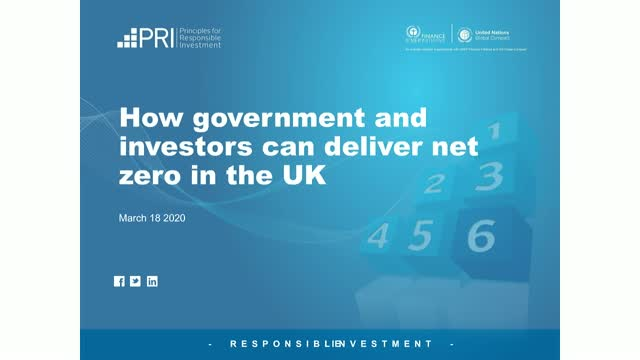 How investors and government can deliver net zero in the UK