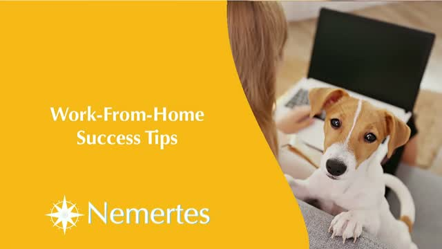 Work-From-Home Success Tips