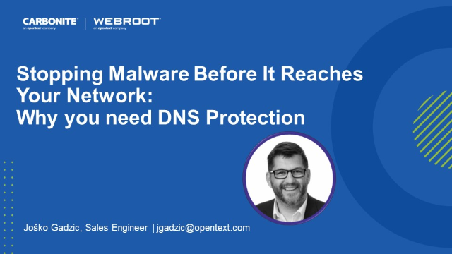 Stopping Malware Before It Reaches Your Network: Why you need DNS ...