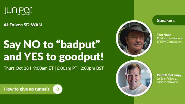 AI-driven SD-WAN: Tales of "Badput"